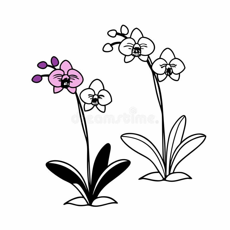 Orchid Flower Vector Art Design Stock Vector - Illustration of stencil ...