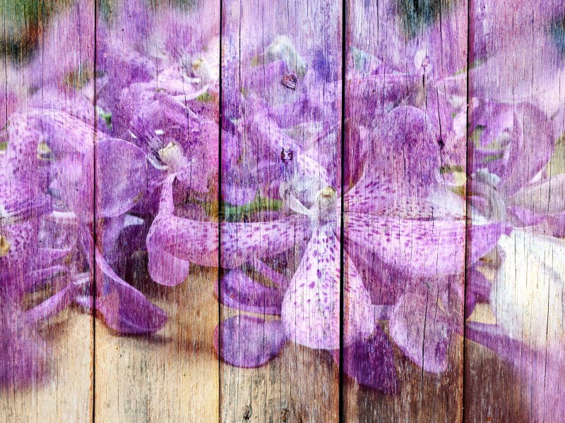 Orchid Flower on Wood Texture Stock Photo - Image of parquet, design ...