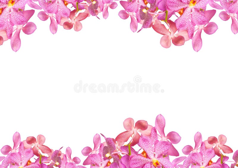 Orchid flowers border stock image. Image of frame, objects - 44963667