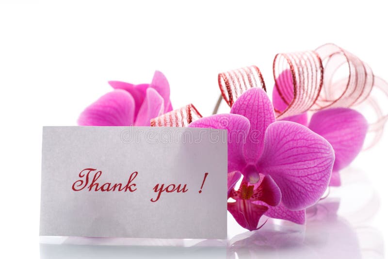Orchid Flowers with Gratitude Stock Photo - Image of bloom, decorative ...