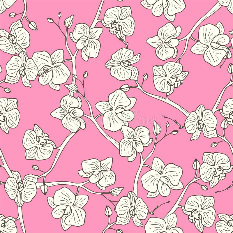 Orchid Flowers Seamless Pattern Stock Vector Illustration Of Contour