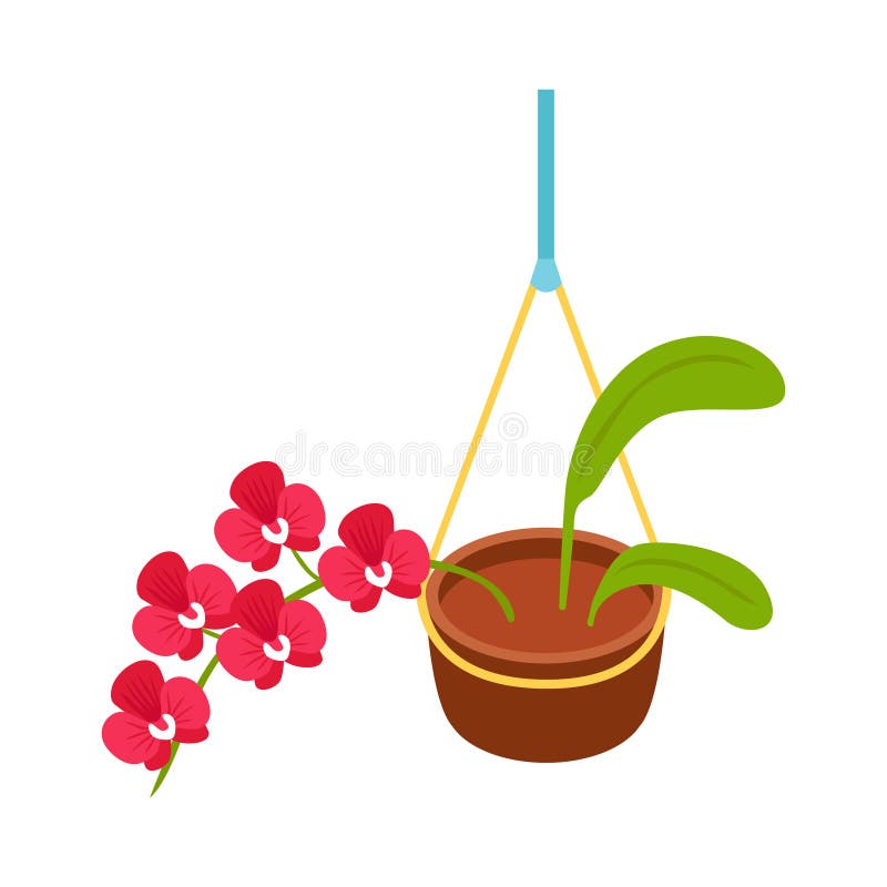 Orchid Isometric Icon stock vector. Illustration of store - 276654137