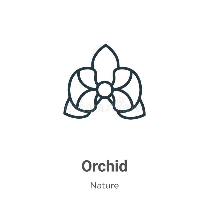 Orchid Outline Vector Icon. Thin Line Black Orchid Icon, Flat Vector ...