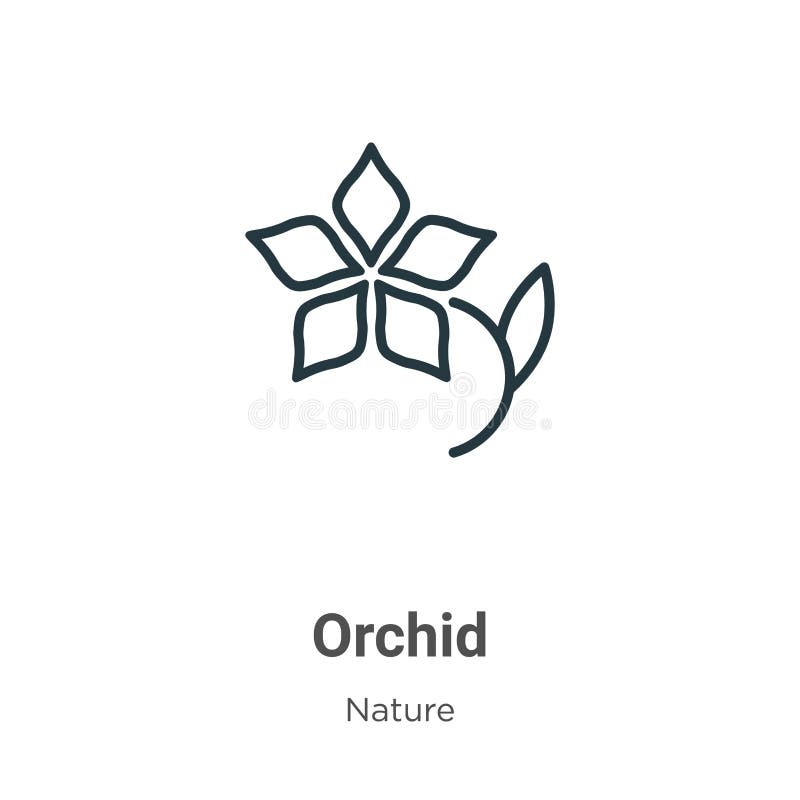 Orchid Outline Vector Icon. Thin Line Black Orchid Icon, Flat Vector ...