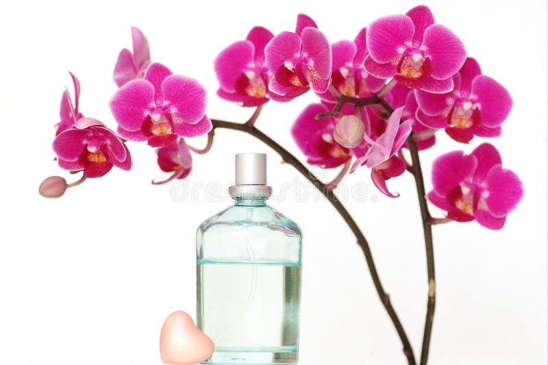 Orchid perfume stock photo. Image of wellness, soap, bathroom - 4460128