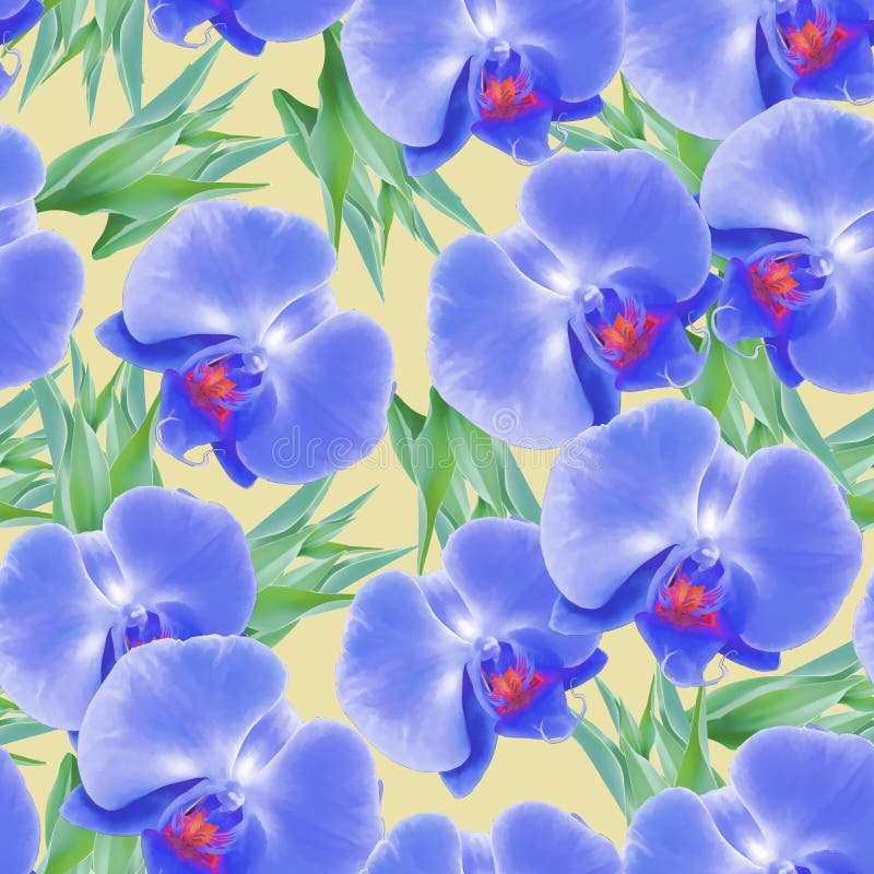 Orchid Phalaenopsis Seamless Pattern Texture Of Flowers Flora Stock