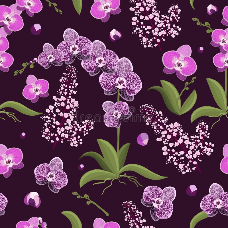 Orchid Background Illustration Stock Illustrations – 43,616 Orchid ...