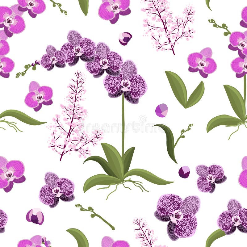 Orchid Seamless Pattern , Hand Drawing. Not AI Stock Vector ...