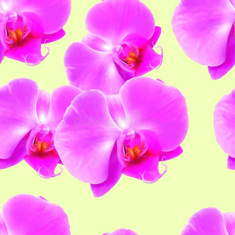 Orchid. Seamless Pattern Texture of Flowers. Floral Background, Stock ...