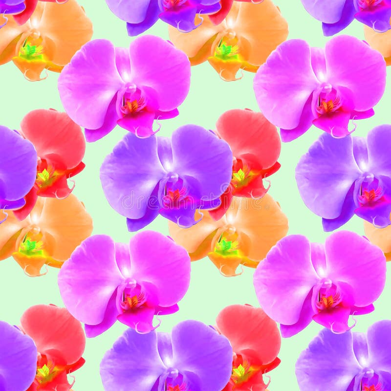 Orchid. Seamless Pattern Texture of Flowers. Floral Background, Stock ...