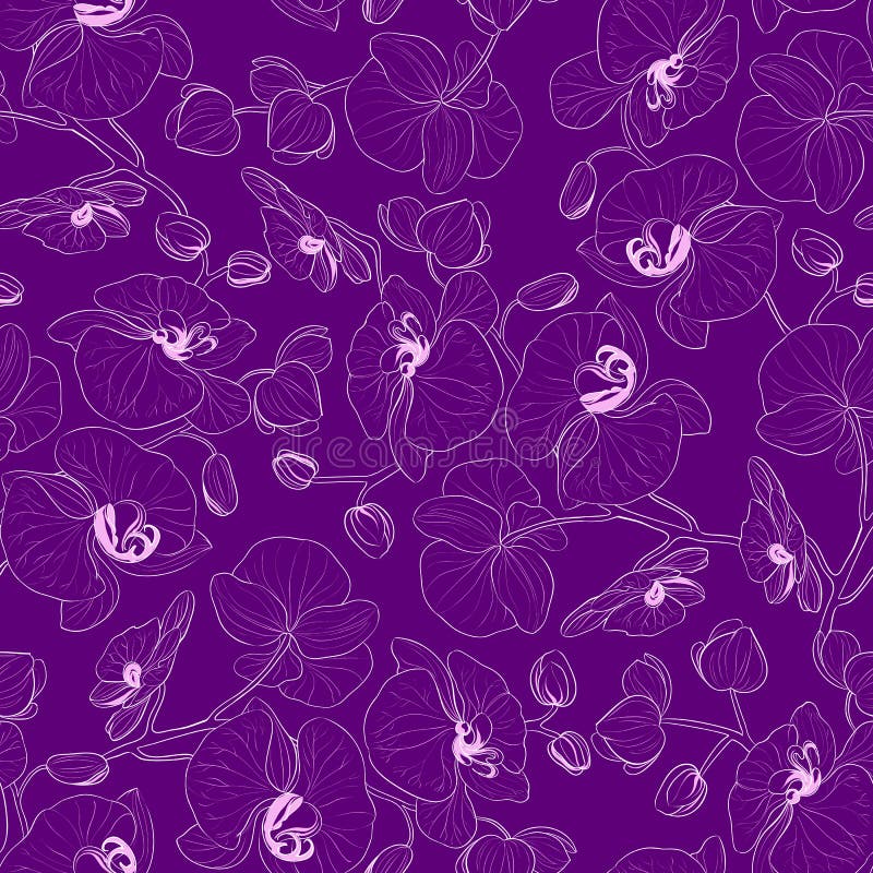 Orchid seamless pattern. stock vector. Illustration of nature - 31094522