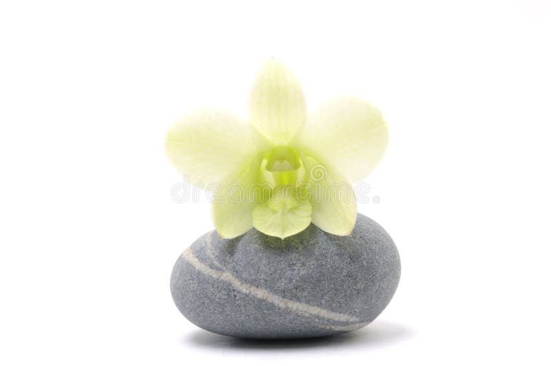 Orchid and stones stock photo. Image of health, healthy - 15219752