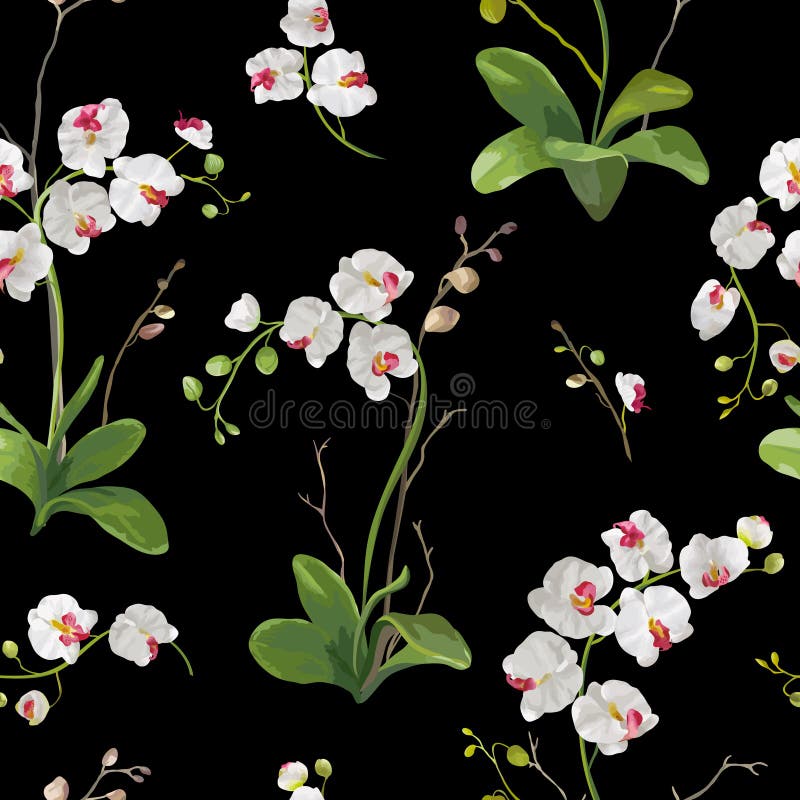 Orchid Tropical Leaves and Flowers Background. Seamless Pattern Stock ...