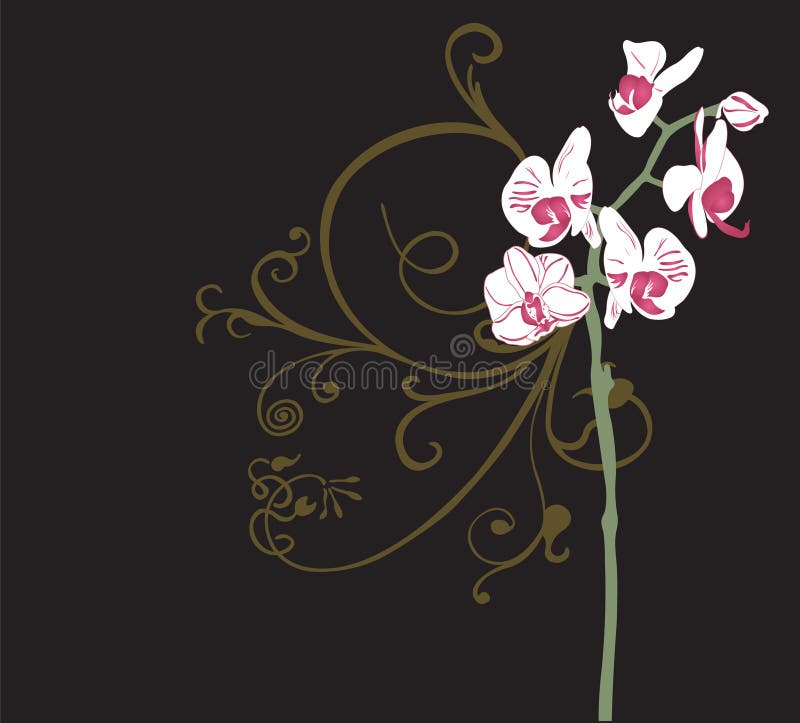 Orchids Stock Illustrations – 8,086 Orchids Stock Illustrations ...