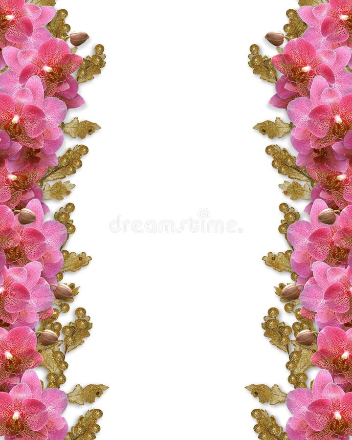 15+ Pink orchids border Free Stock Photos - StockFreeImages
