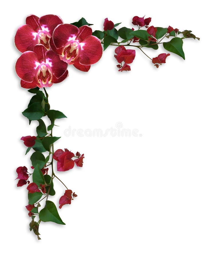 83+ Red floral page border Free Stock Photos - StockFreeImages
