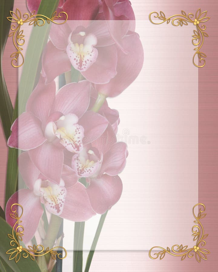 24+ Floral border orchids Free Stock Photos - StockFreeImages