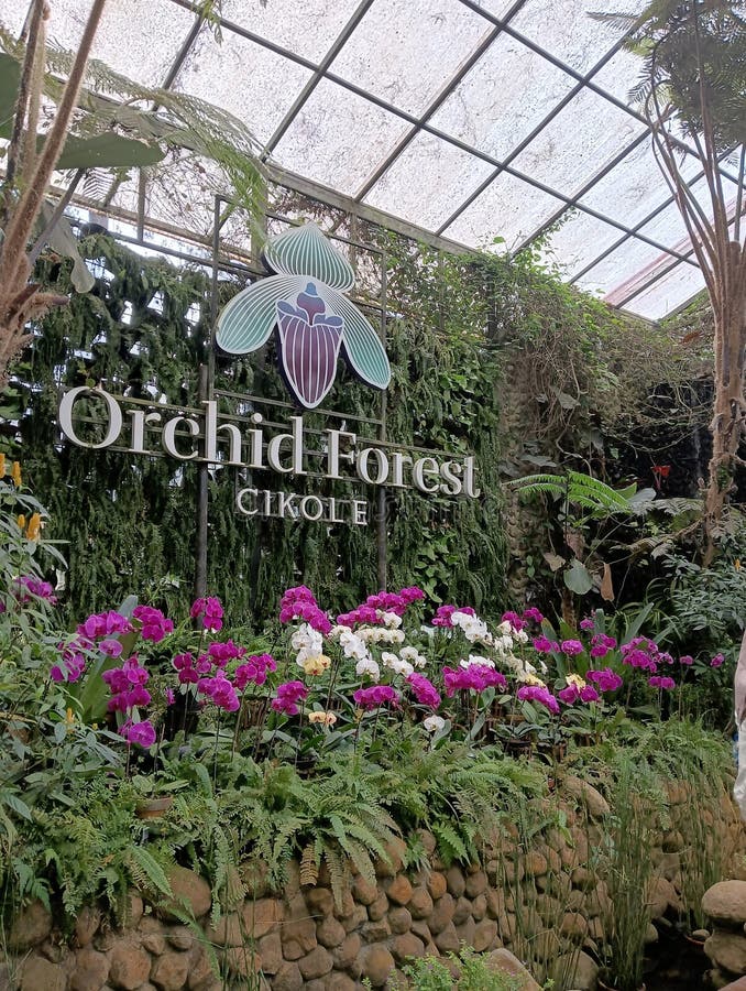 Orchids Forest and Market in Cikole West Java Editorial Stock Image ...