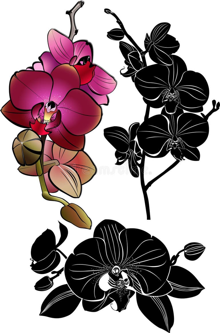 Orchids Icon Stock Illustrations – 2,303 Orchids Icon Stock ...