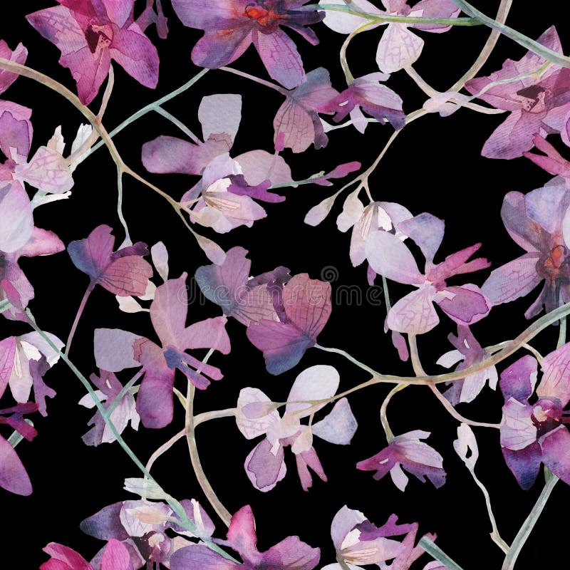 Orchids Purple on Black Background Seamless Pattern. Stock Illustration ...