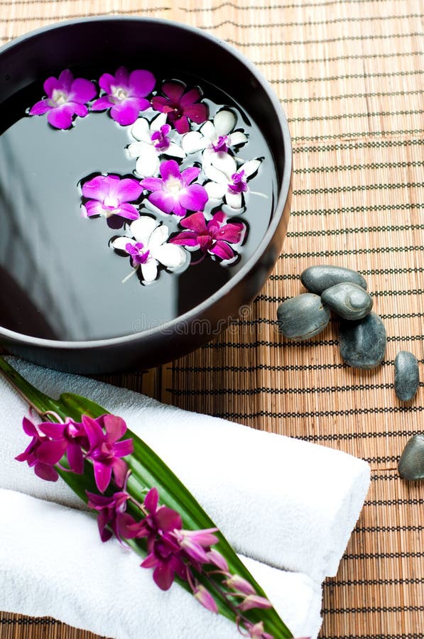 Orchids in spa setting stock photo. Image of nature, grow - 18537882