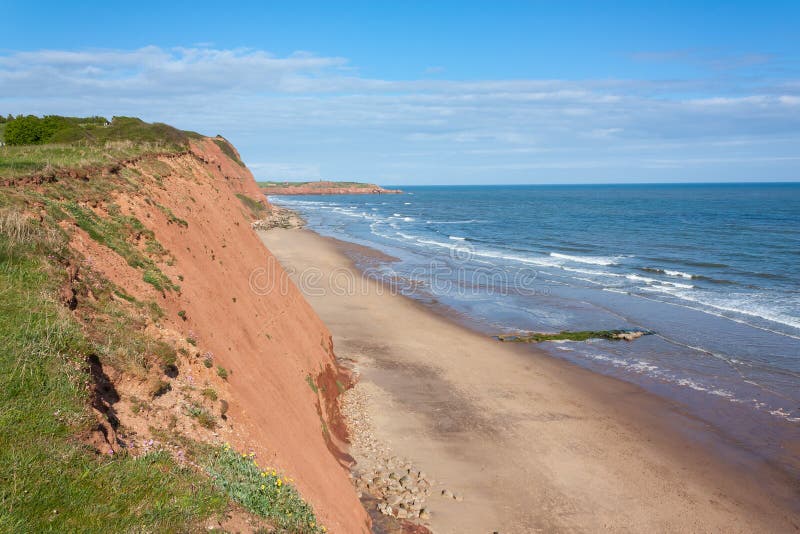 Orcombe Point Devon stock photo. Image of orcombe, world - 50191074