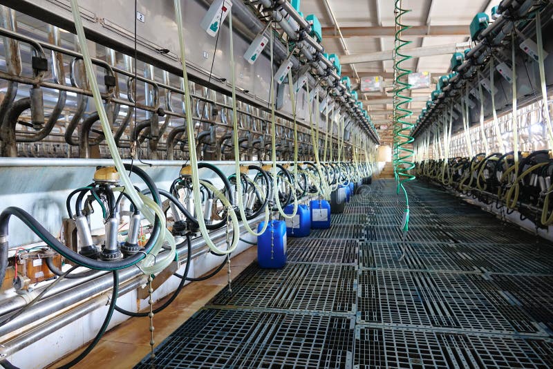 Ordenhar Fotos De Stock - Baixe 4,538 Fotos Royalty Free