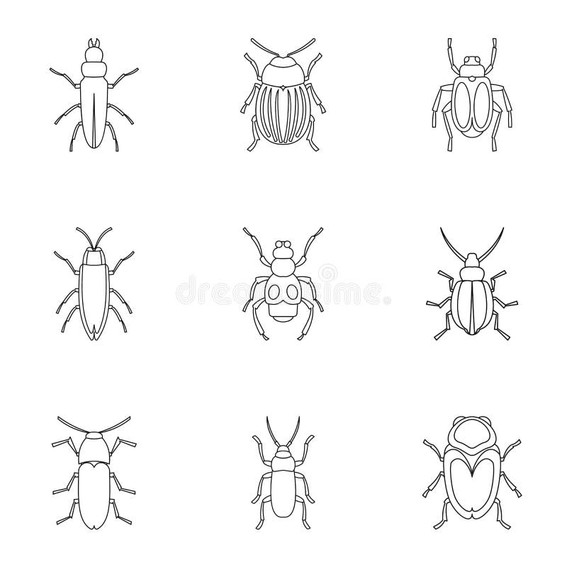 Order Coleoptera Icons Set, Outline Style Stock Vector - Illustration ...