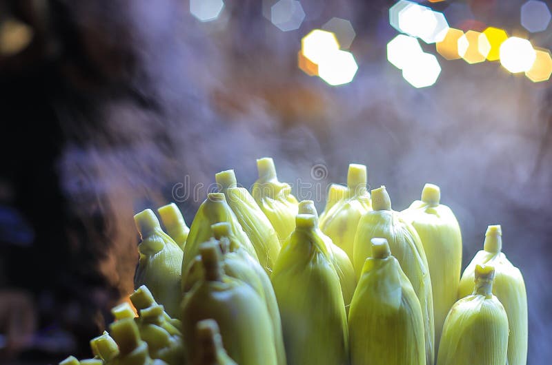 Order of corn on stock photo. Image of streets, display - 264344592