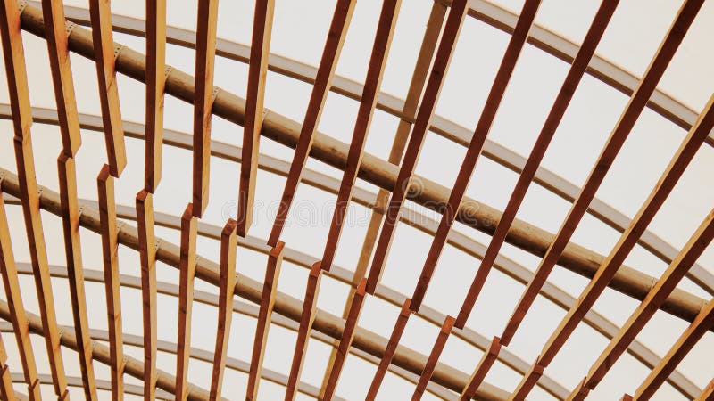 Symmetrical Wooden Ceiling Grid Design in Sustainable Architecture ...