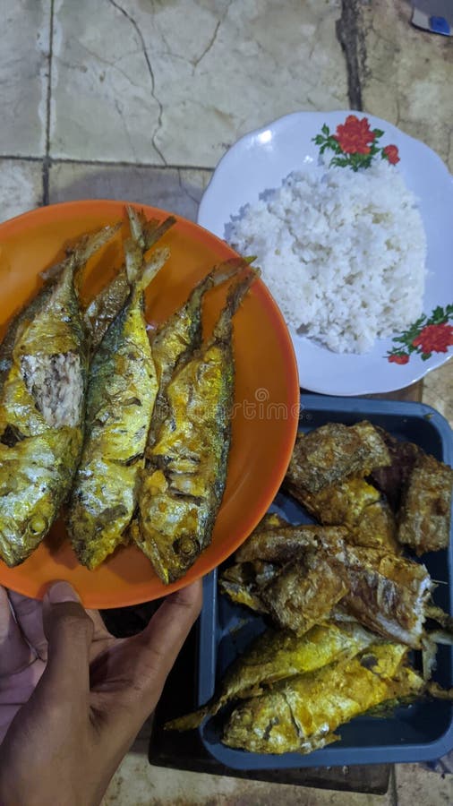 Ordinary Fried Fish with a Plate of Rice Stock Photo - Image of fried ...