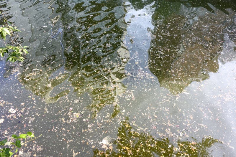 An ordinary puddle pattern stock image. Image of plant - 270497775