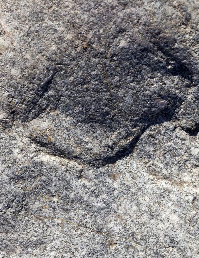 Real stone structure stock photo. Image of closeup, grunge - 223520956