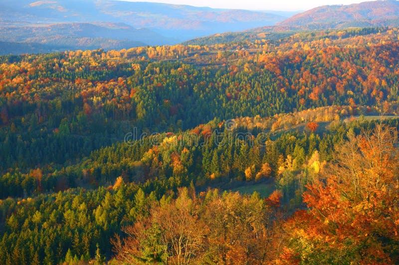 The Ore Mountains Mixed Forests Stock Photo - Image of hill, light ...