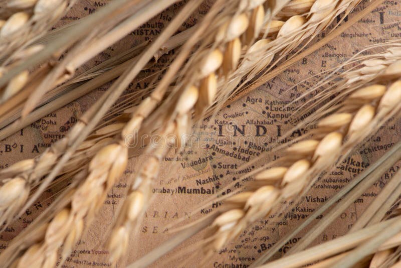 Orecchio D'orzo Sulla Mappa Marrone Fotografia Stock - Immagine di nave ...