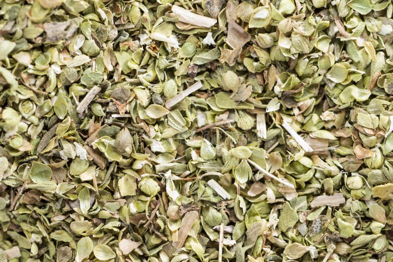 Oregano Background stock image. Image of fresh, ingredient - 37892459