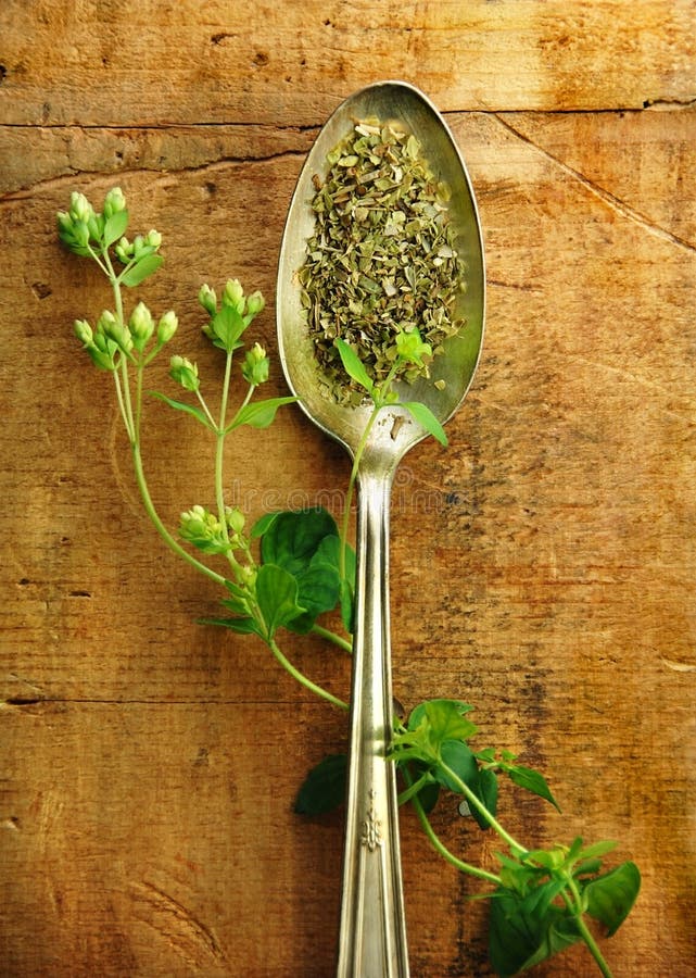 Oregano Sprig with Dried on a Wood Table Stock Image - Image of silver ...