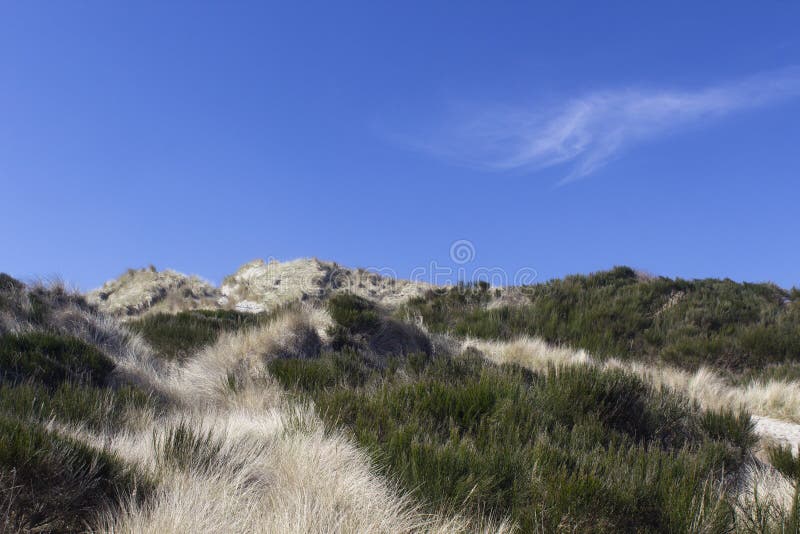 Oregon Beach Dunes Blue Sky Stock Image - Image of oregon, horizontal ...