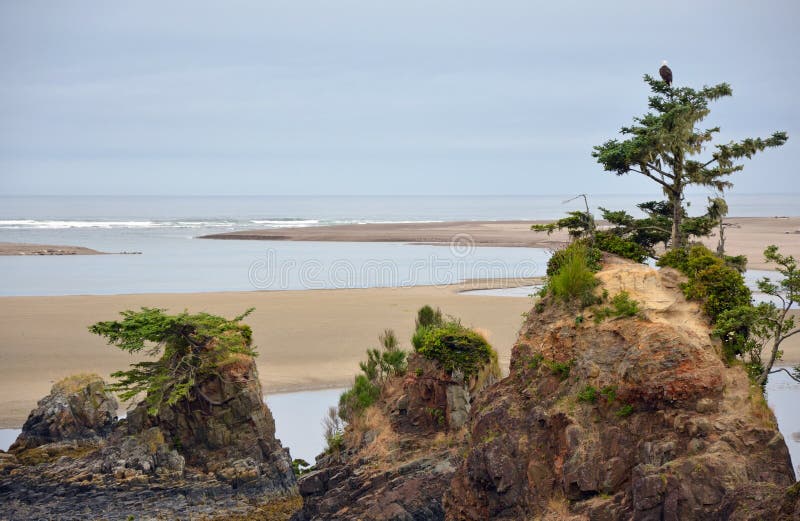 Oregon Beach with Rocks and Trees Stock Image - Image of nature, waves ...