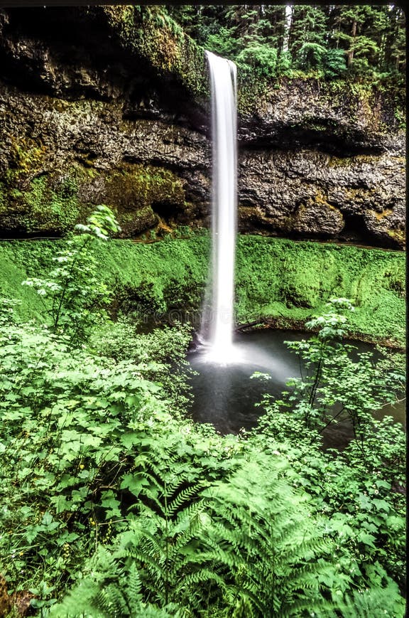 Oregon Cascade Mountains, Silver Falls State Park Stock Image - Image ...