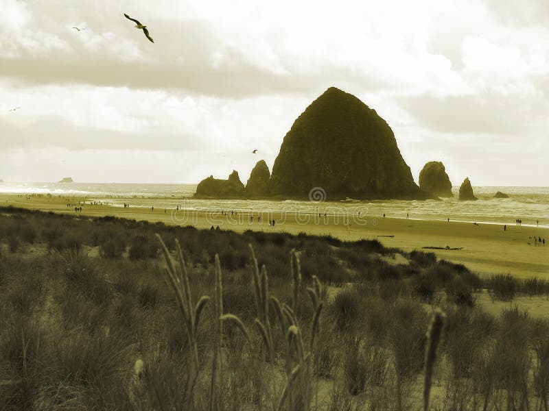 Oregon Coast stock image. Image of sand, pacific, rock - 2827667