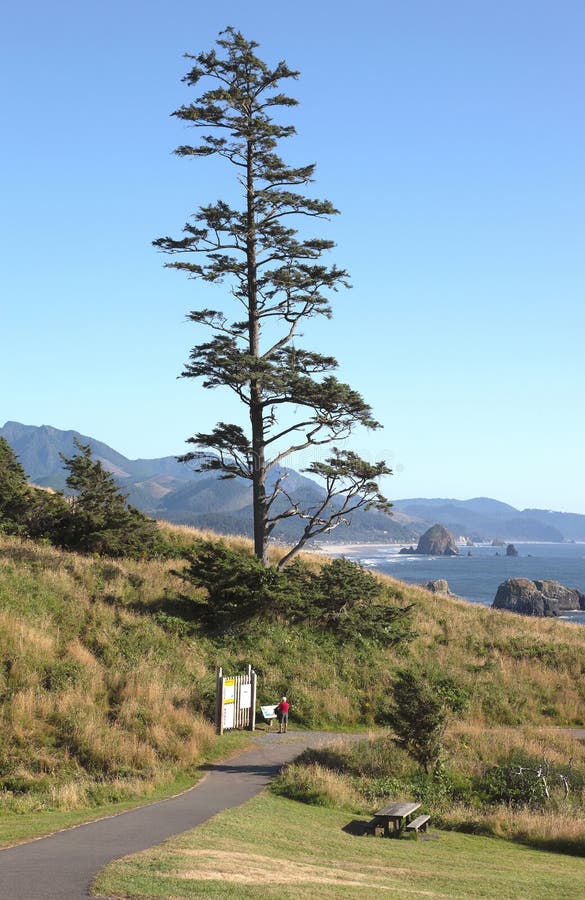 The Oregon coast. stock photo. Image of beaches, viewpoint - 29470024
