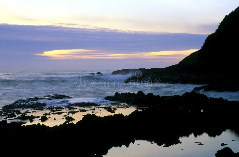 Oregon Coast stock image. Image of tide, rocky, reflections - 4460347