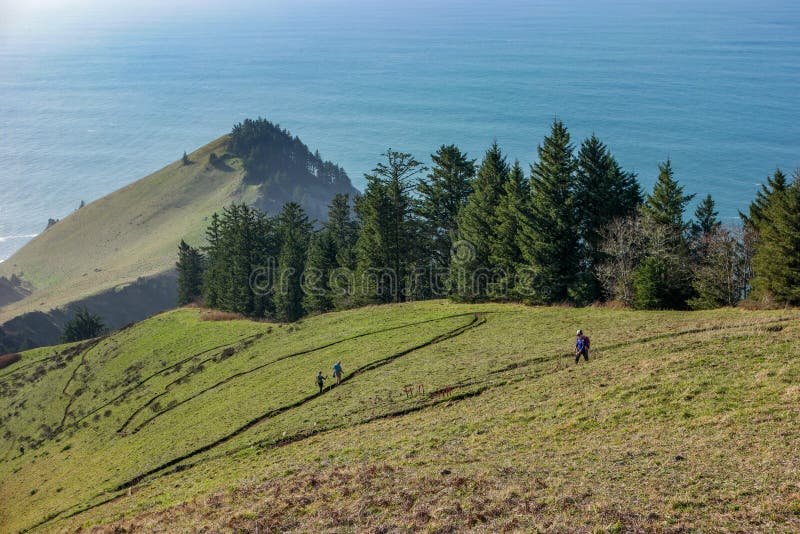 The Oregon Coast As Seen from Cascade Head Preserve Stock Image - Image ...
