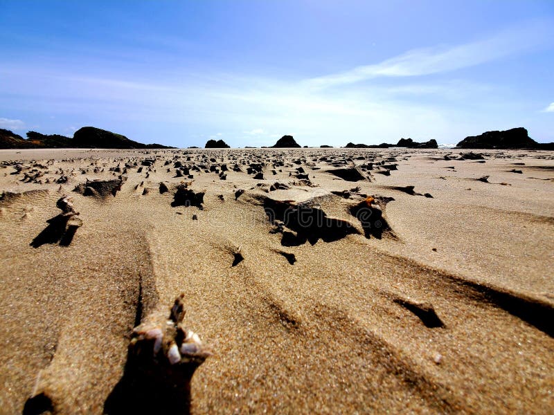 Oregon Coast Home of the Wind Blown Sand Stock Image - Image of blown ...