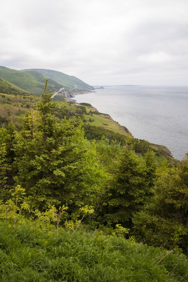 Oregon Coast stock image. Image of forest, trees, coastal - 80983133