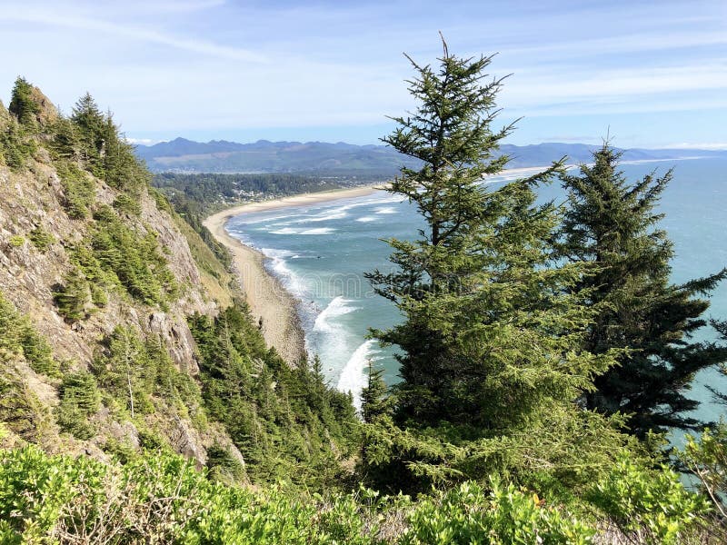 The Oregon Coast, Pine Trees and Beach Stock Image - Image of waterfall ...