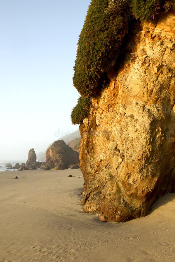 Oregon coast portrait stock image. Image of coast, ocean - 13033651