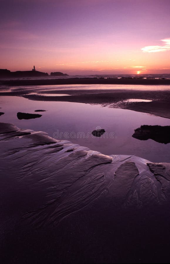 Oregon coast portraits stock photo. Image of cliff, directs - 1767530