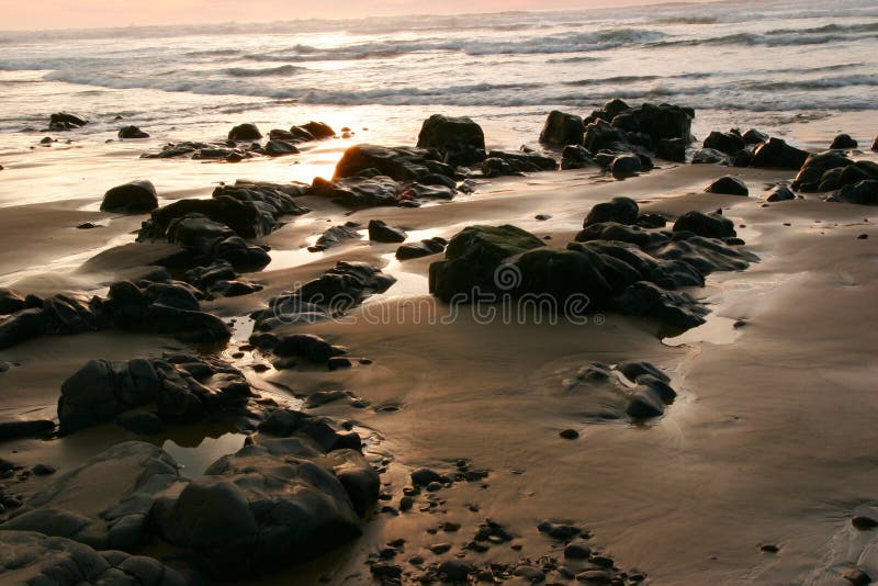 Oregon coast portraits stock photo. Image of pacific, surf - 1860708